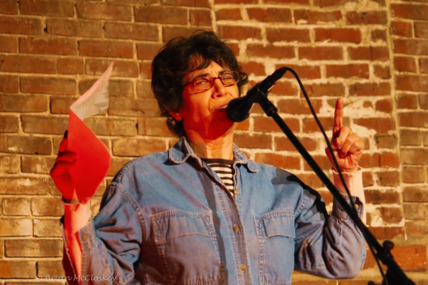 Find Your Voice. – DINA HALL